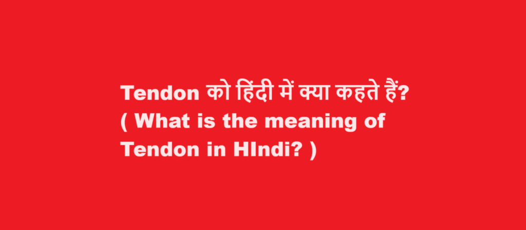 What is the meaning of Tendon in HIndi